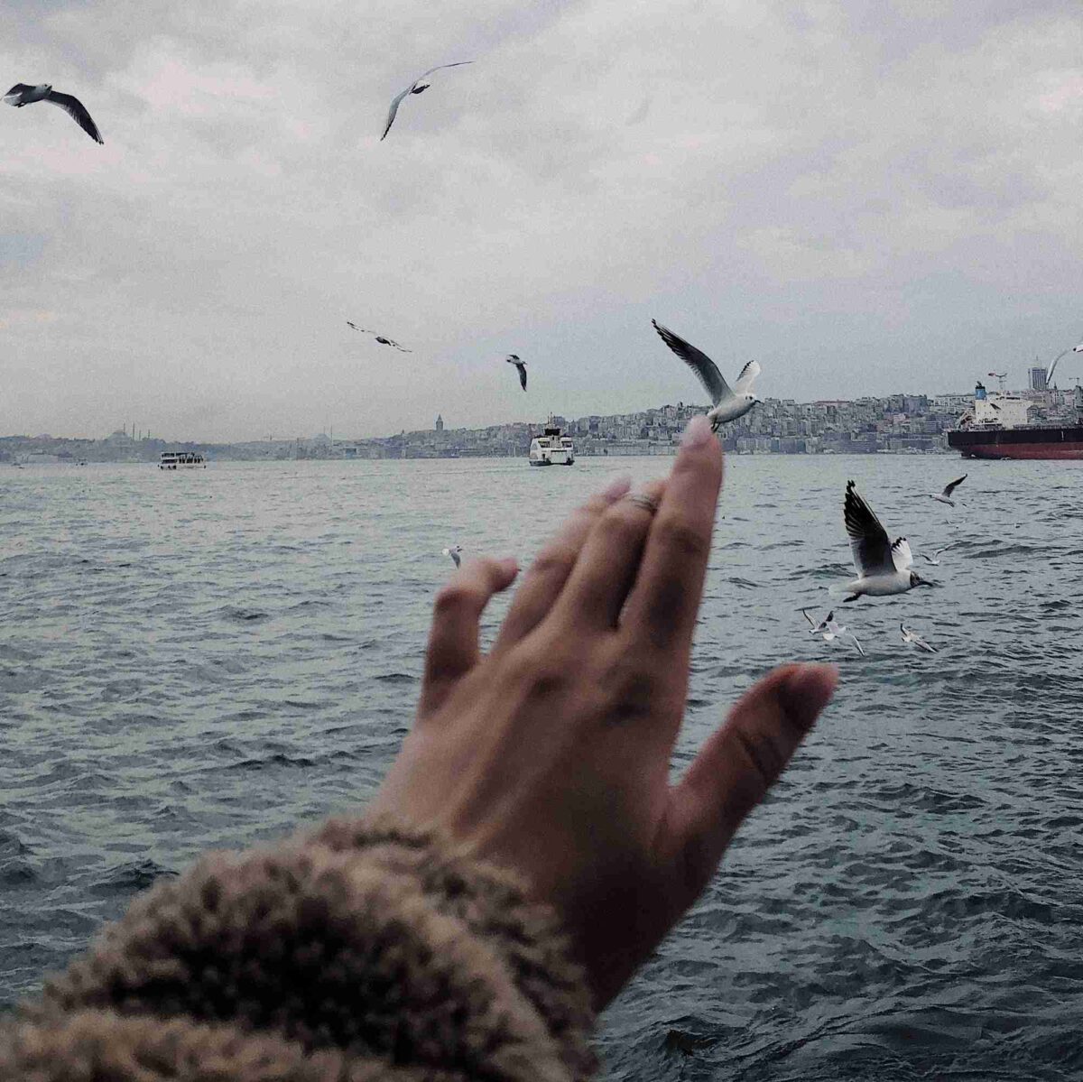 Banking on Kindness - Bank of New Hampshire